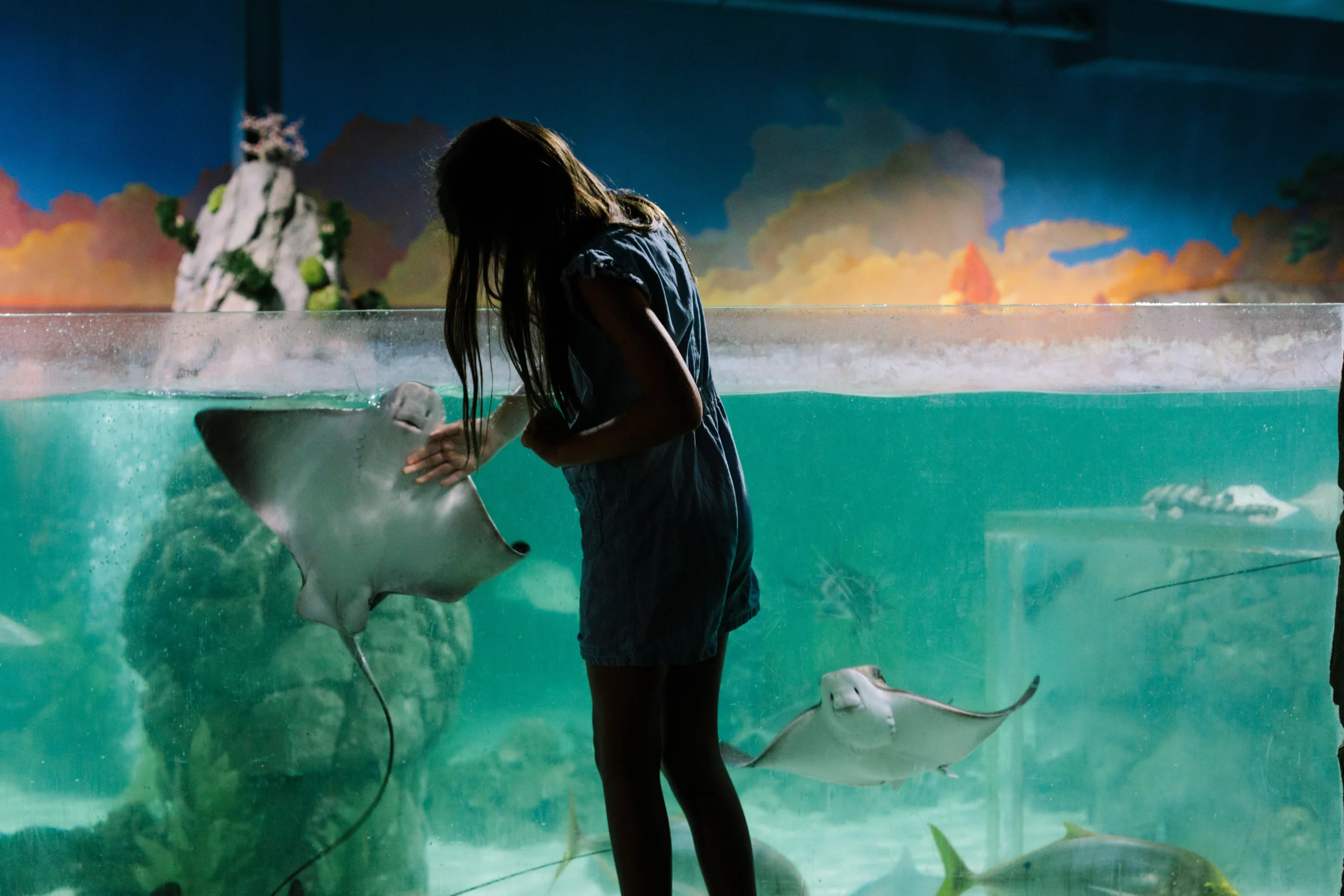 How Interactive Aquariums Are Transforming the Way We Connect with ...