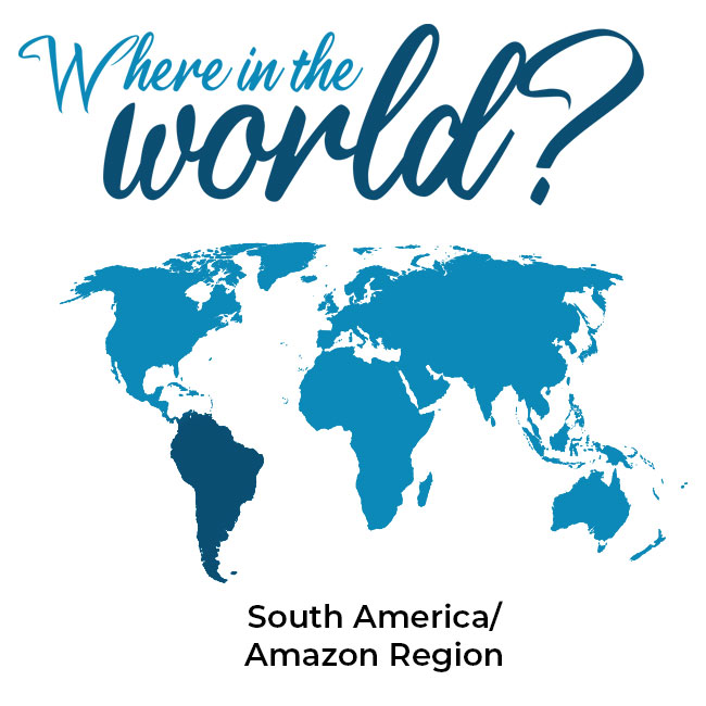 Electric Eel | NorCal Aquarium & Wildlife